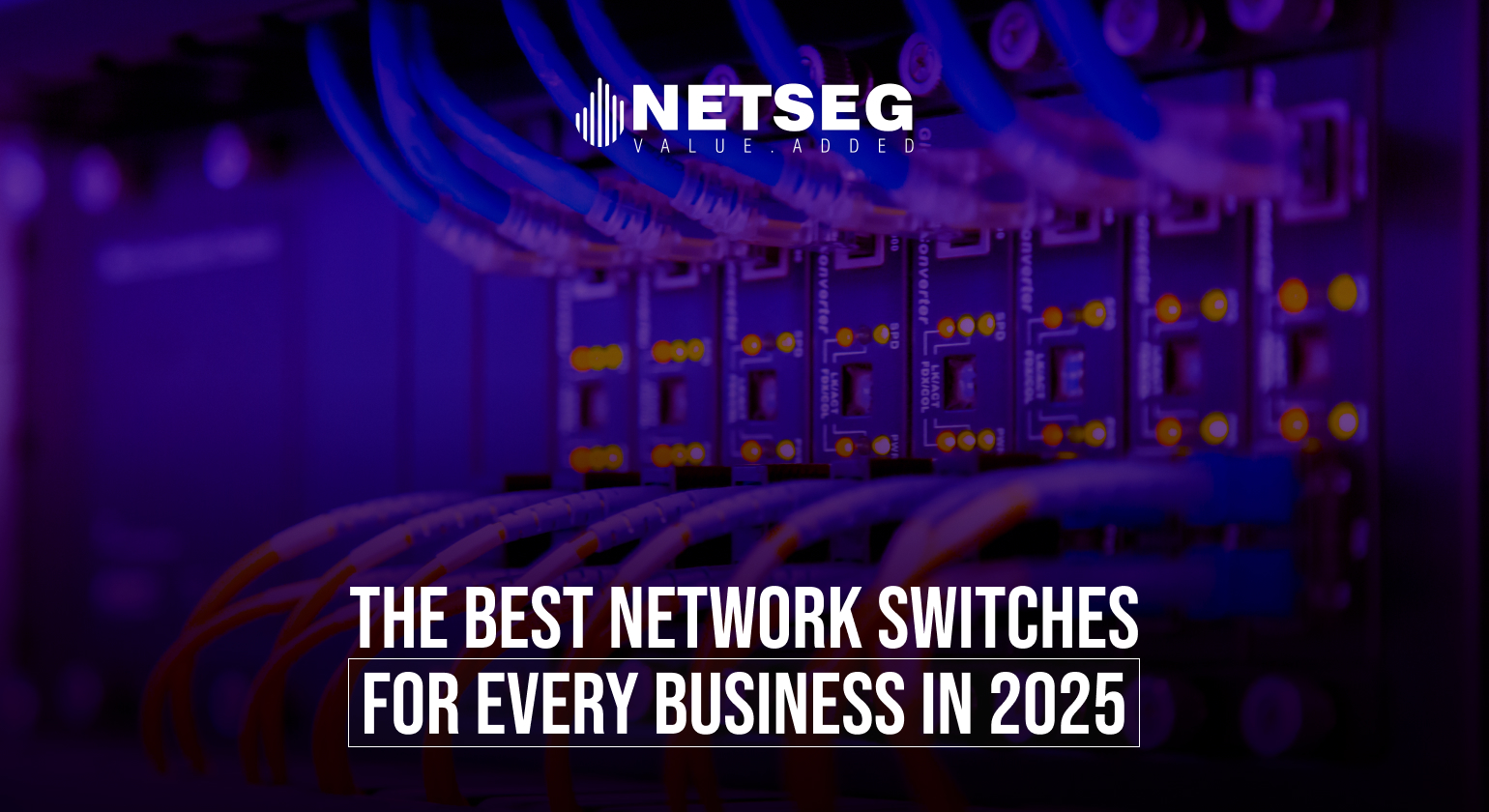 The Best Network Switches for Every Business in 2025 - NETSEG